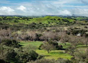 California's Legendary 'Sycamore Valley Ranch'