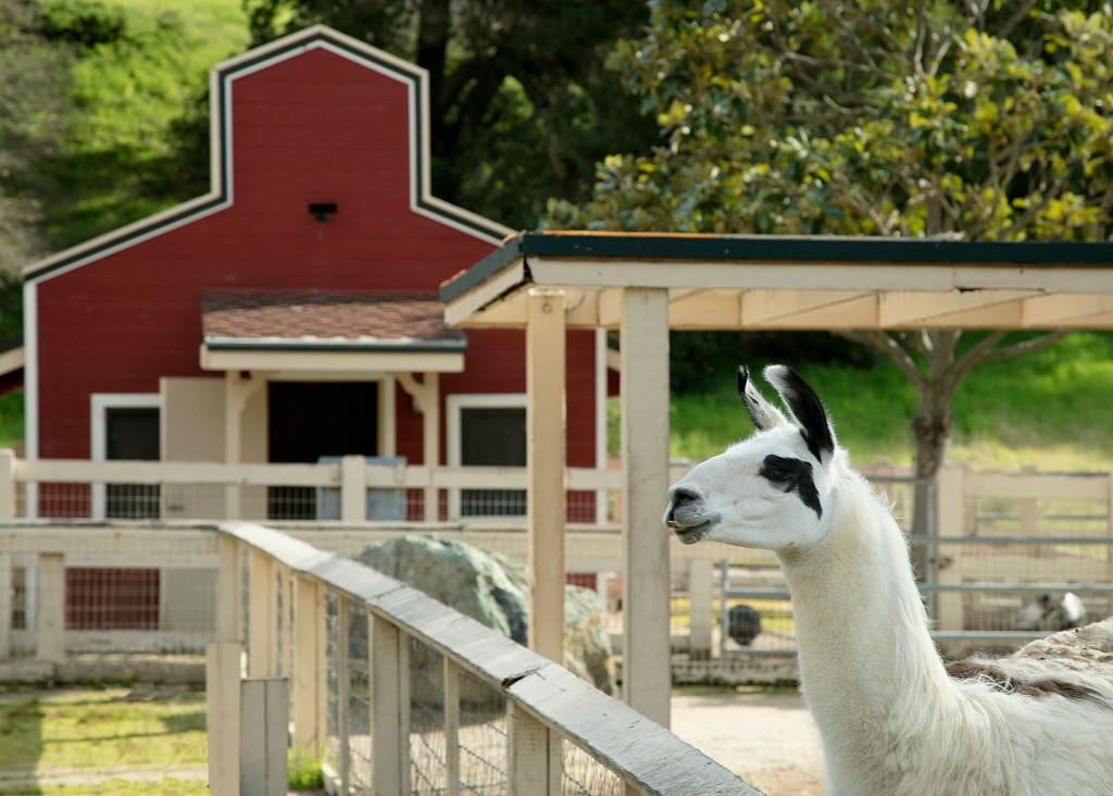 California's Legendary 'Sycamore Valley Ranch'