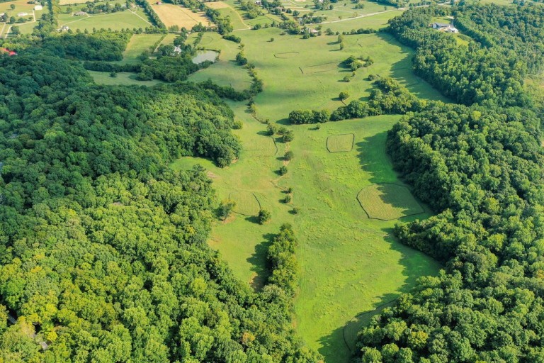 Lisa Culp Taylor Presents An Extraordinary, 150-Acre Middle Tennessee ...